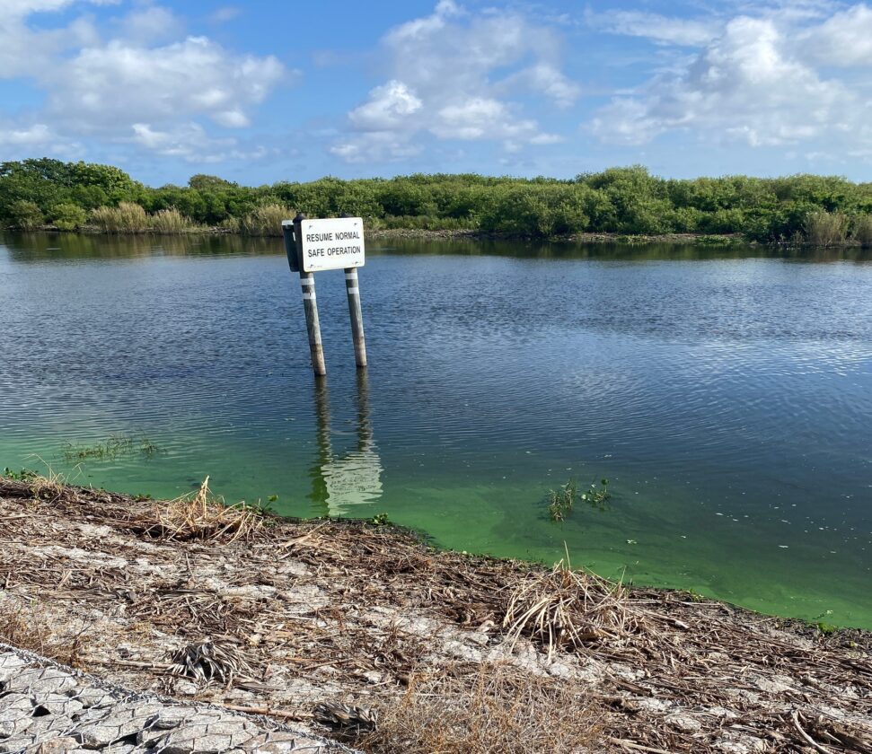 SCCF: Lake levels high as rainy season begins - SANIBEL-CAPTIVA ...